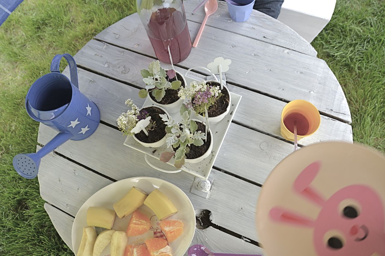 zablawac – julia rozumek